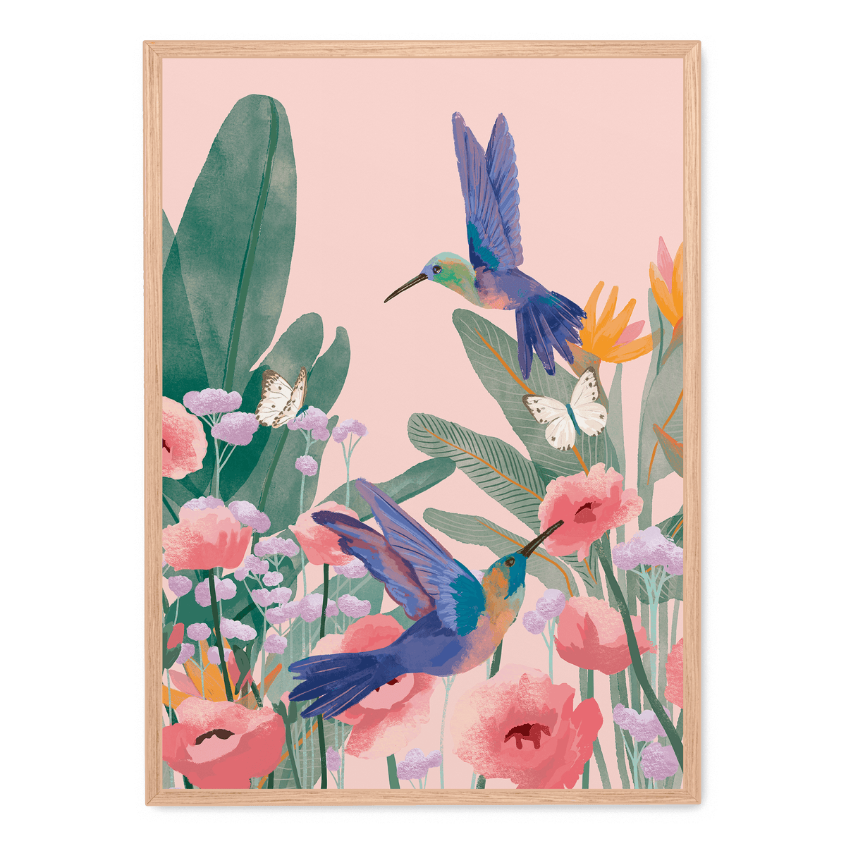 Hummingbirds poster | Postera.art