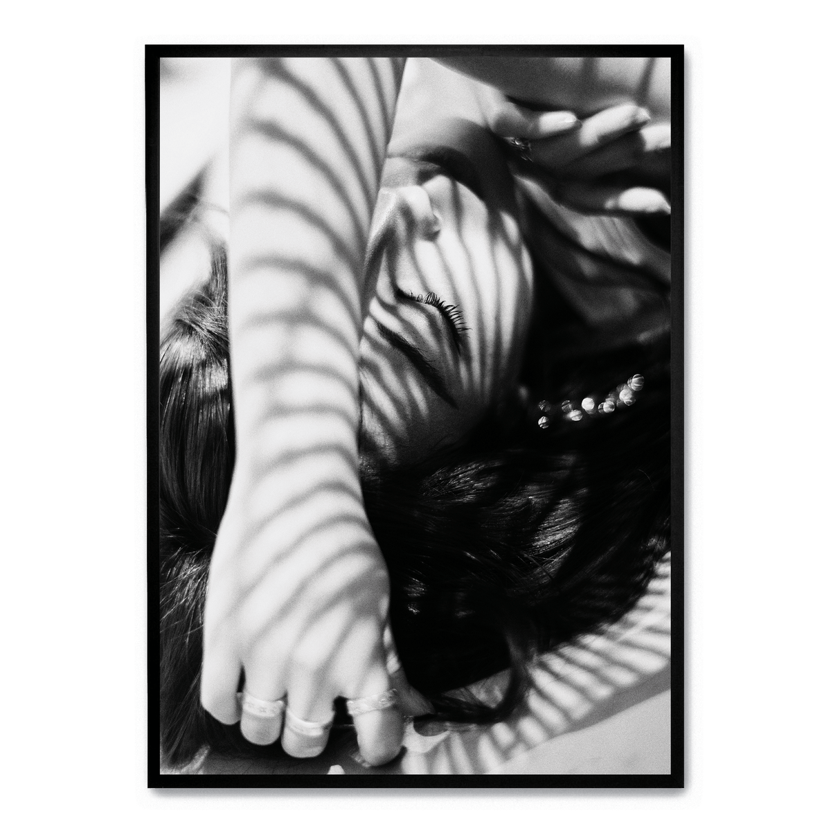 hase-poster-postera-art