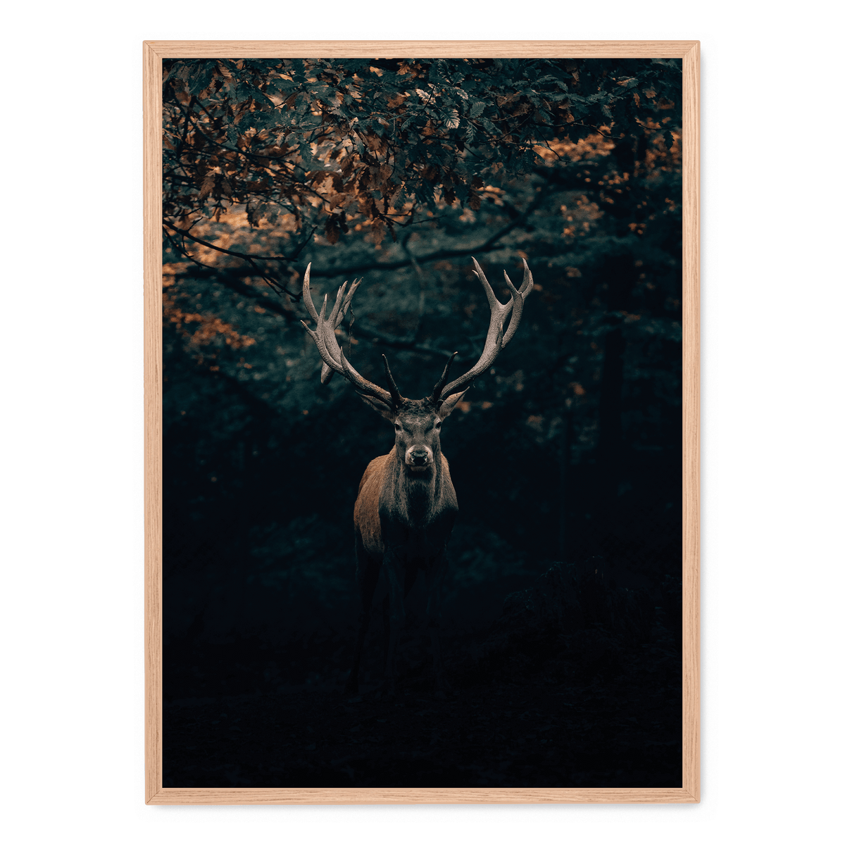 Deer In The Forest Postera deer-in-the-forest-postera