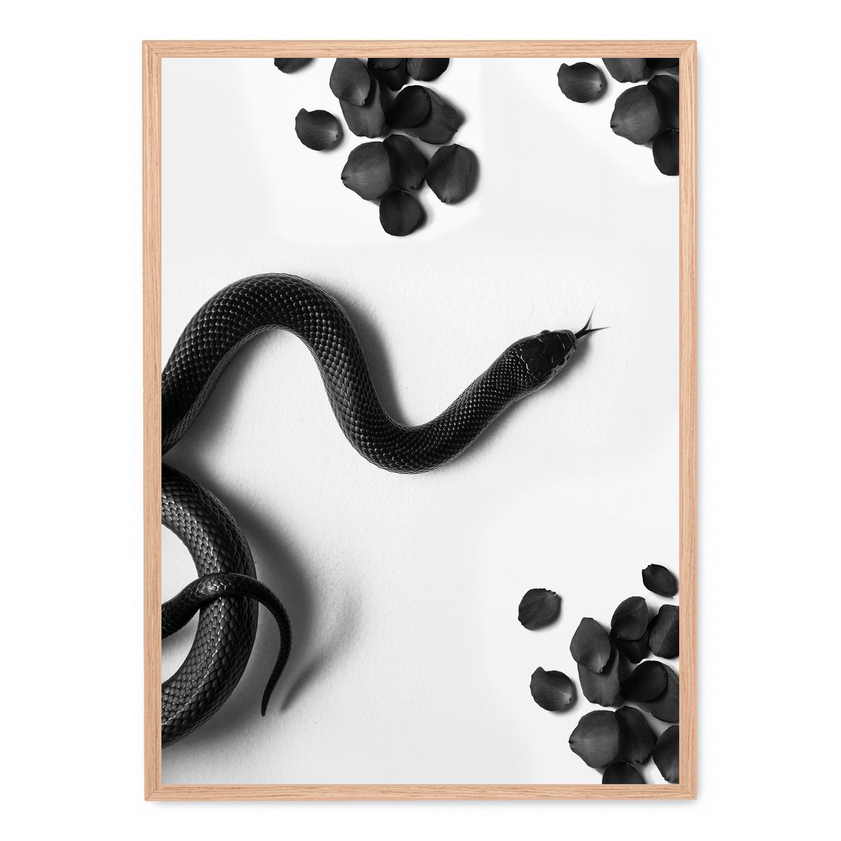 Black Snake Roam poster | Postera.art