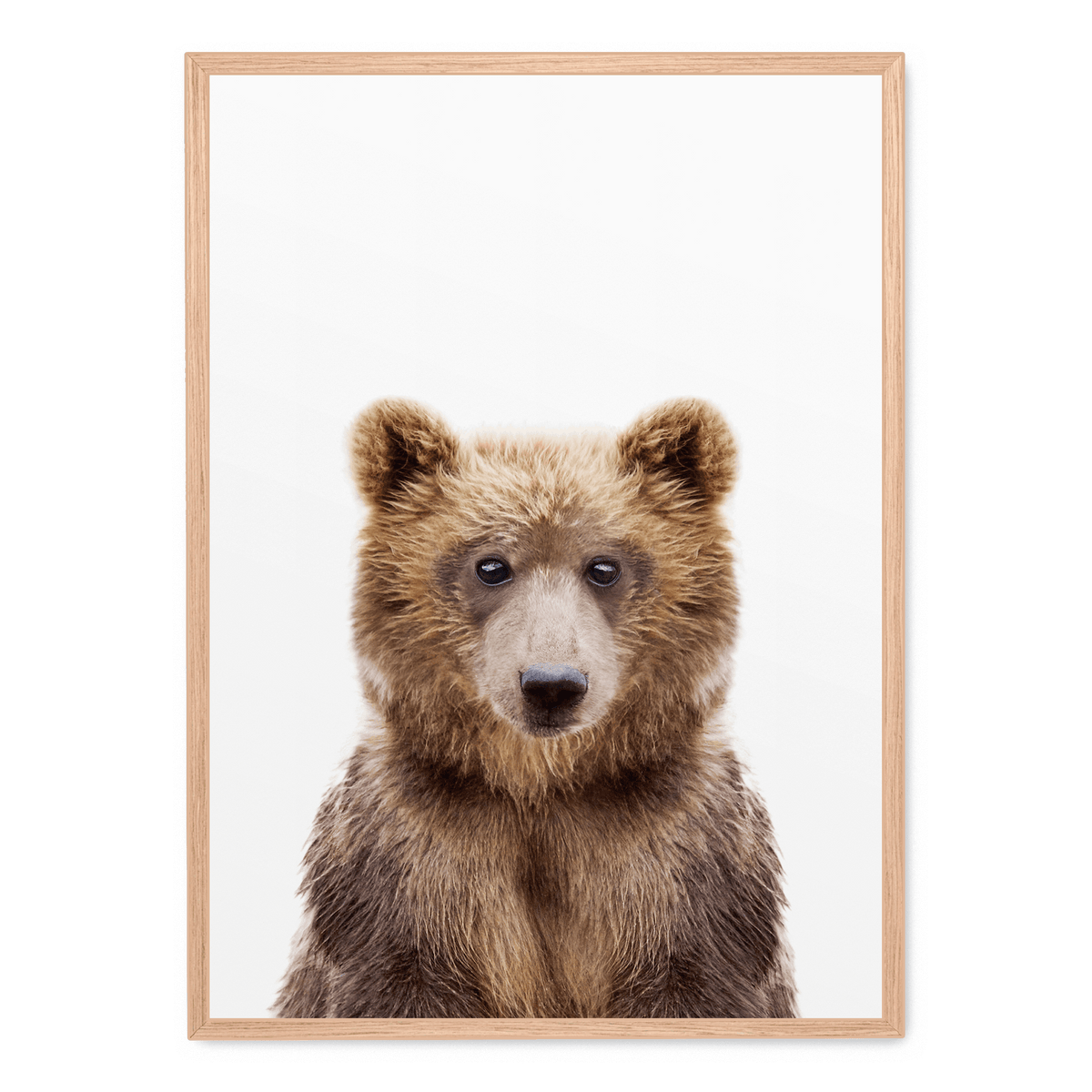 Baby Bear poster | Postera.art