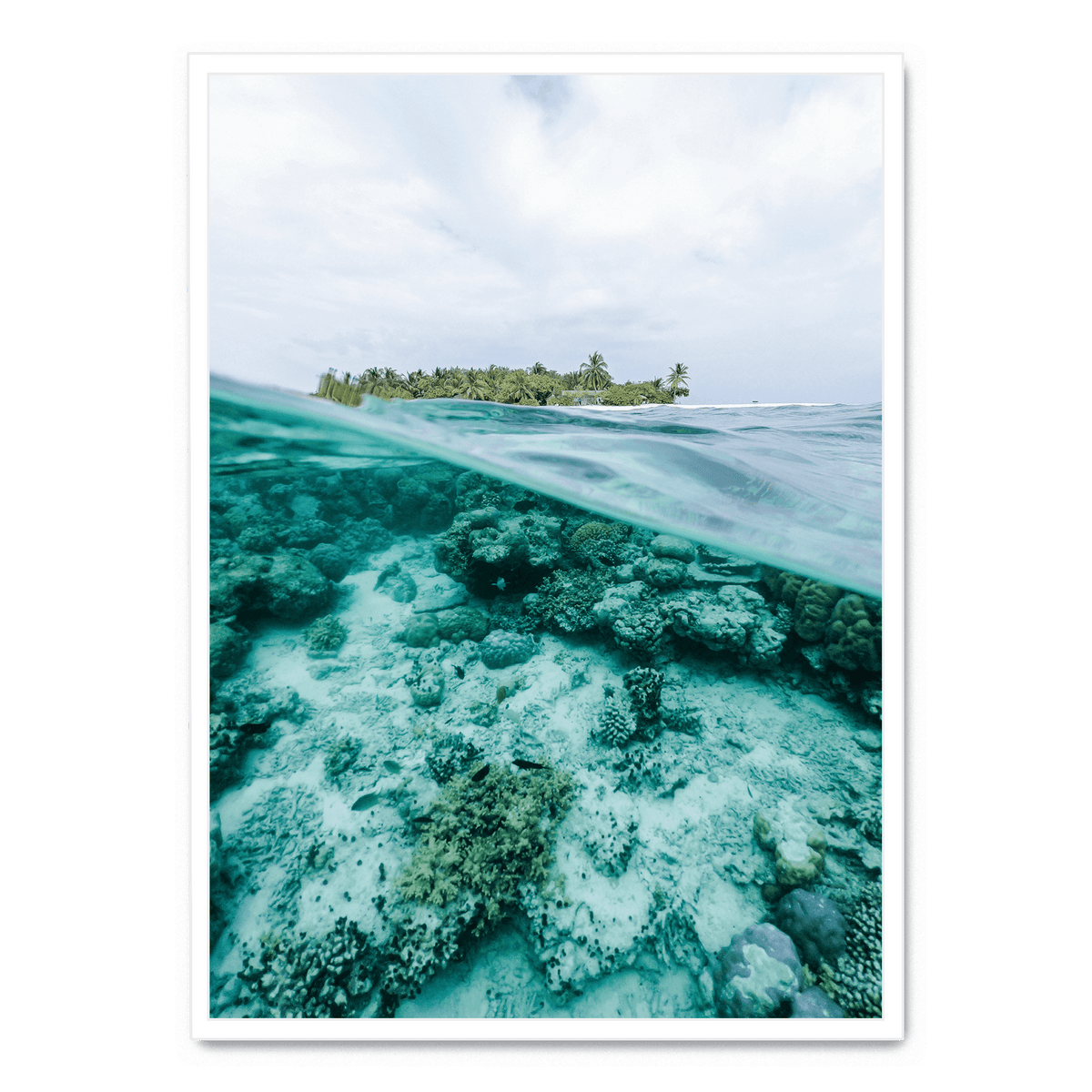 a-look-underwater-postera