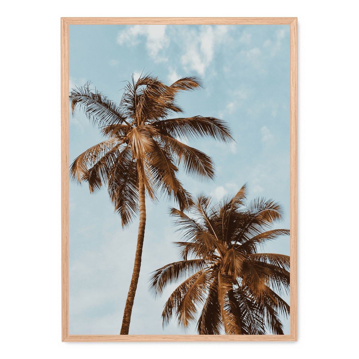 Palm Trees poster | Postera.art