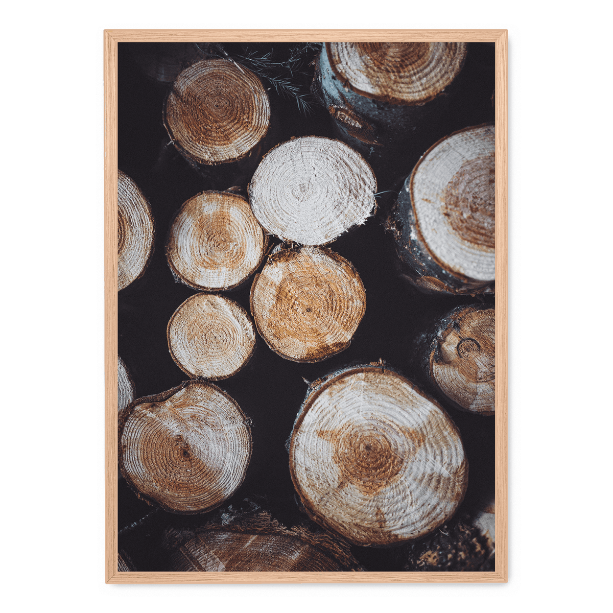 Tree Stumps poster | Postera.art