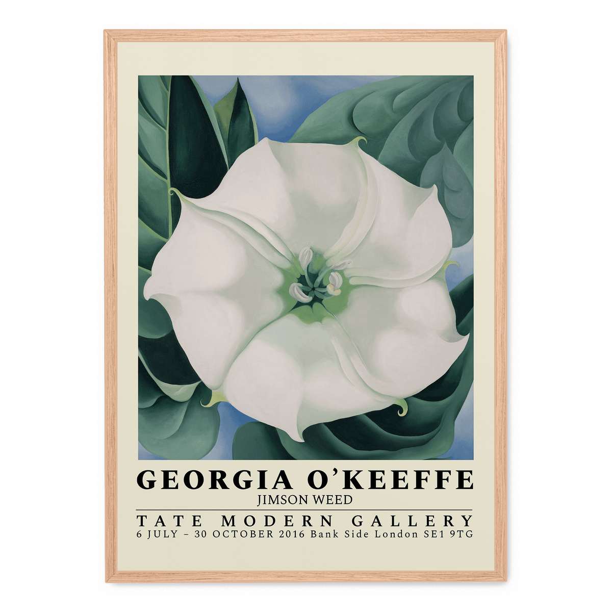 Jimson Weed Poster Postera art