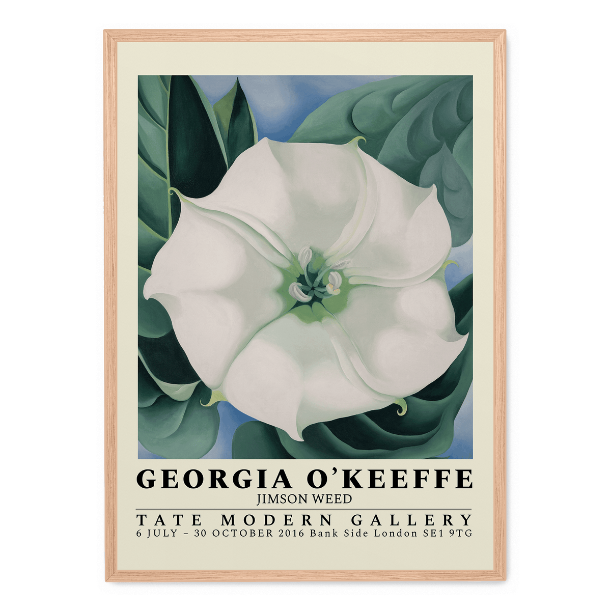 Jimson Weed Poster Postera art Jimson Weed Poster Postera art